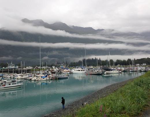 Majestic Alaska by Trafalgar with 12 Tour Reviews - TourRadar