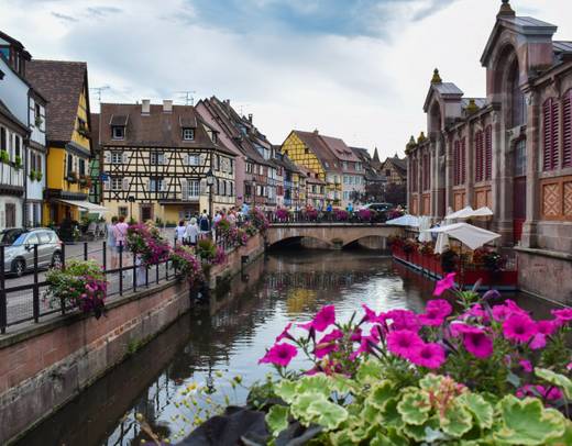 European Cavalcade (End Paris) by Costsaver with 9 Tour Reviews - TourRadar