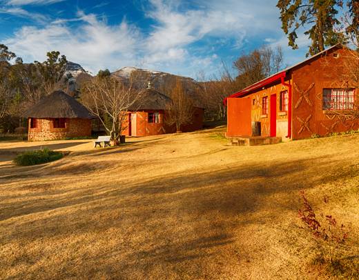 The Garden Route by Absolute Africa with 6 Tour Reviews (Code: GR16 ...