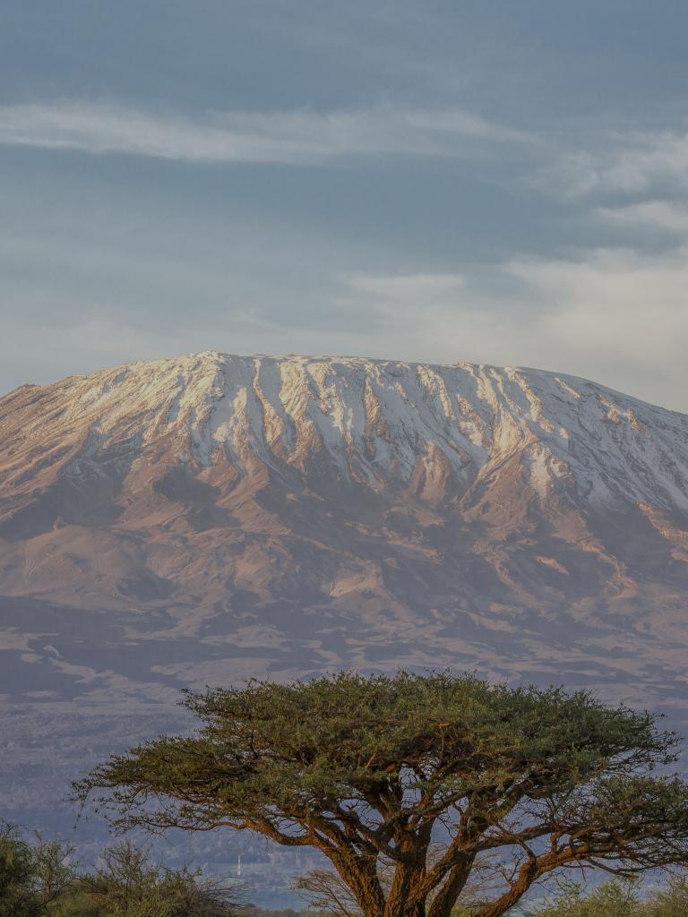 Best 8 Marangu Route Tour Operators & Trekking Companies - TourRadar