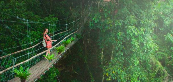 Most Amazing Luxury Tours 2020 - TourRadar