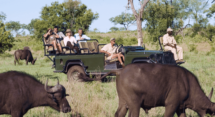 Best Private Tours in the World - TourRadar