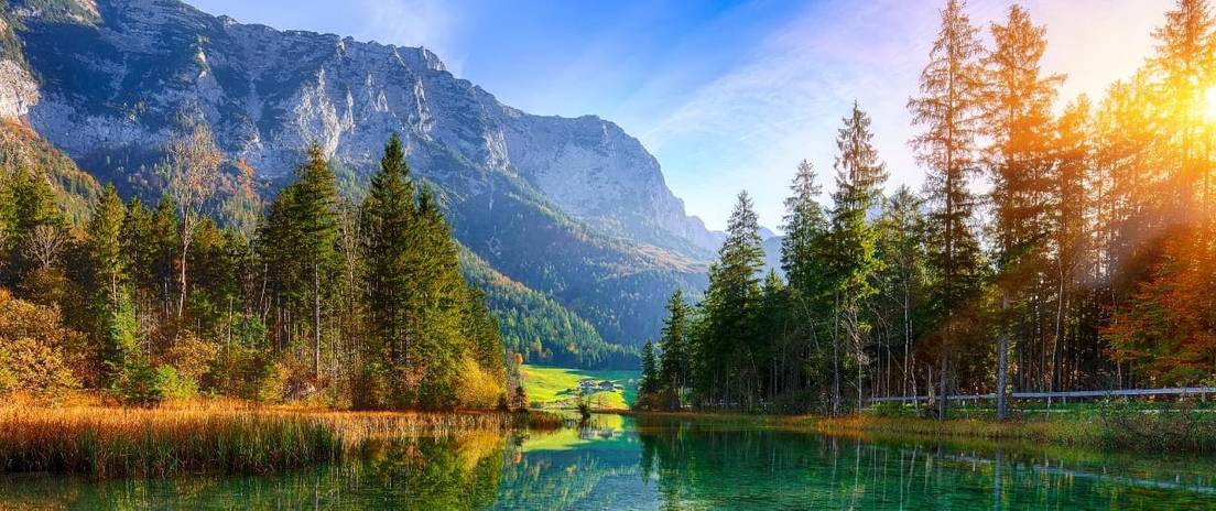 15 Best Germany Tours & Trips 2023/2024 - TourRadar