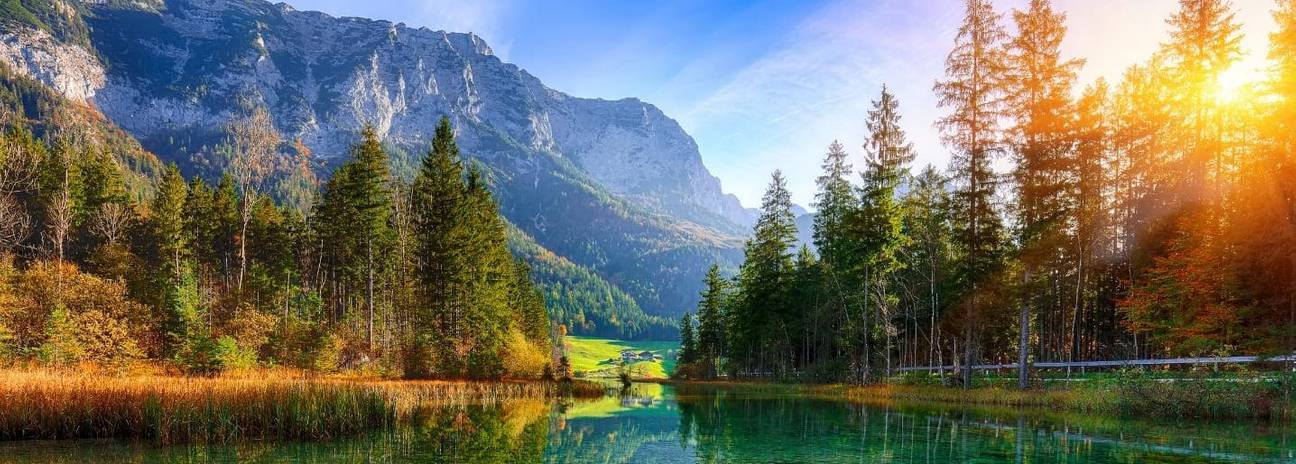 15 Best Germany Tours & Trips 2023/2024 - TourRadar