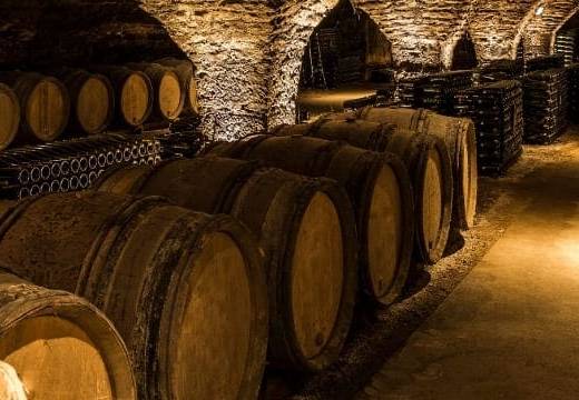 10 Best Food & Culinary Tours 2026 - TourRadar