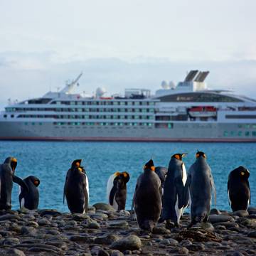 10 Best River Cruise Packages 2024/2025 - TourRadar