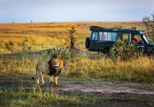 10 Best Overlanding Trips 2026 - TourRadar