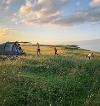 Best Budget Tours & Cheap Travel Packages 2026 - TourRadar