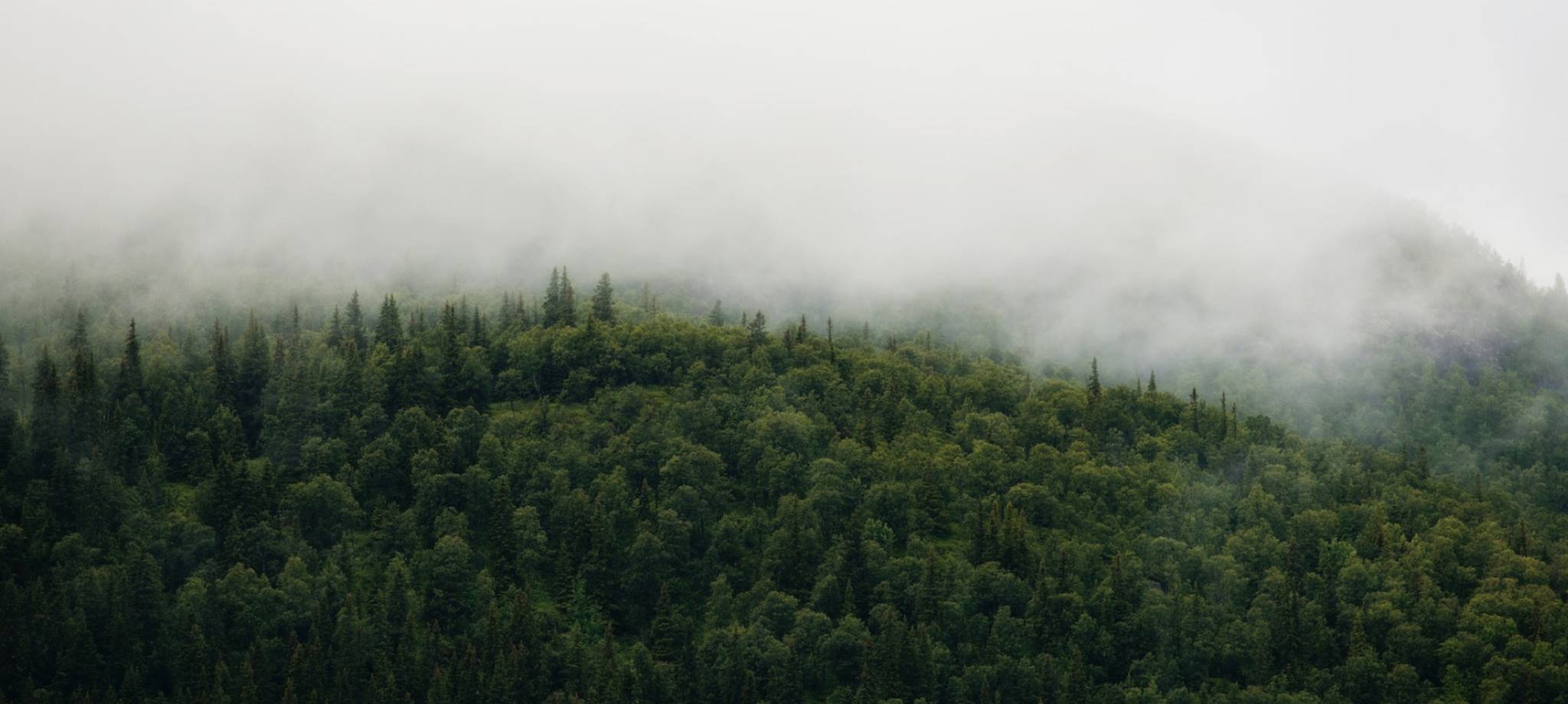 Sustainable Travel Operators - TourRadar