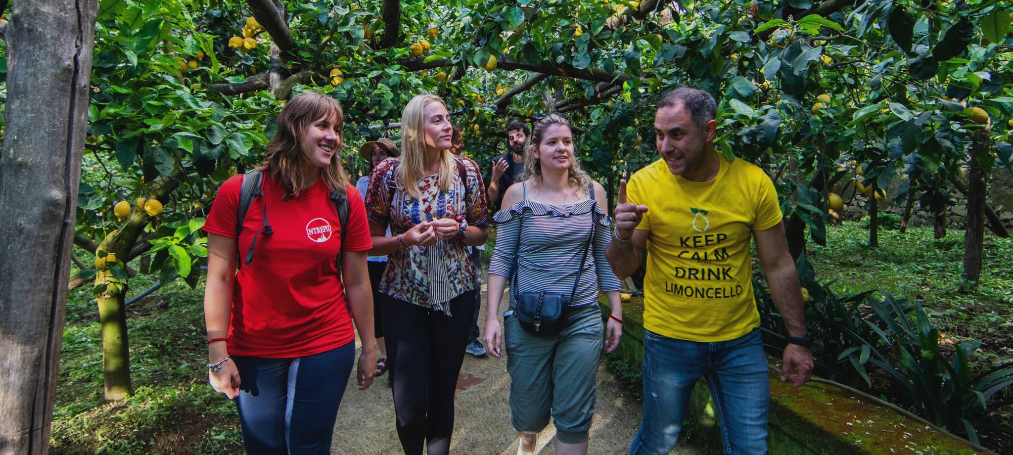 Why Trust Us With Your Travel Plans? - TourRadar