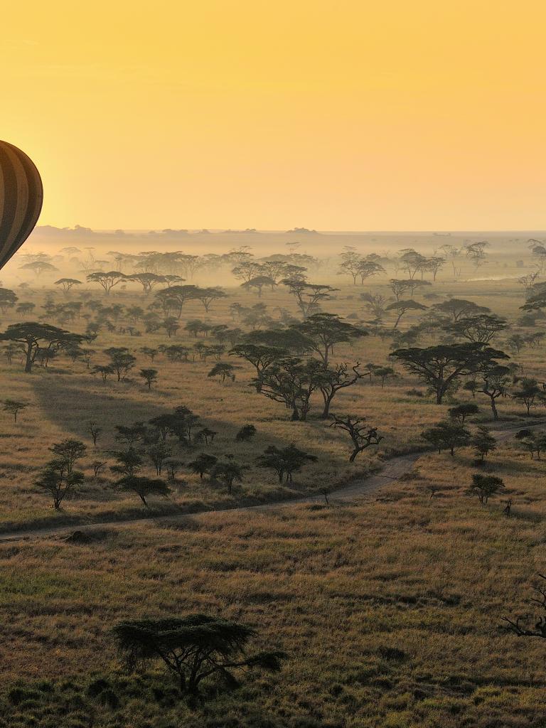 Tanzania Travel Guide | All You Need to Know - TourRadar