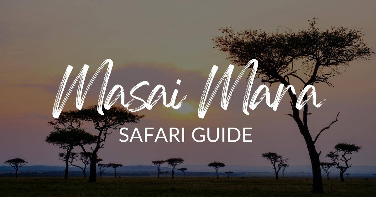 Masai Mara Facts: 8 Things Not To Miss Before Visiting - TourRadar