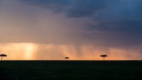 Masai Mara Facts: 8 Things Not To Miss Before Visiting - TourRadar