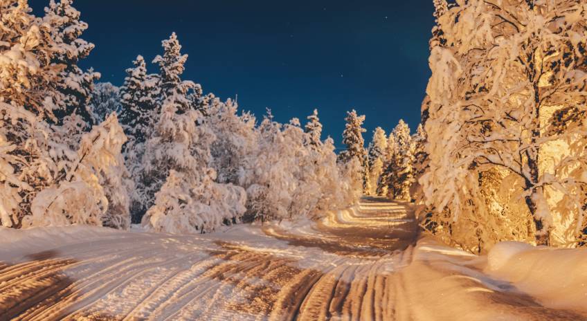 Arctic Circle Travel Guide: Everything You Need to Know - TourRadar