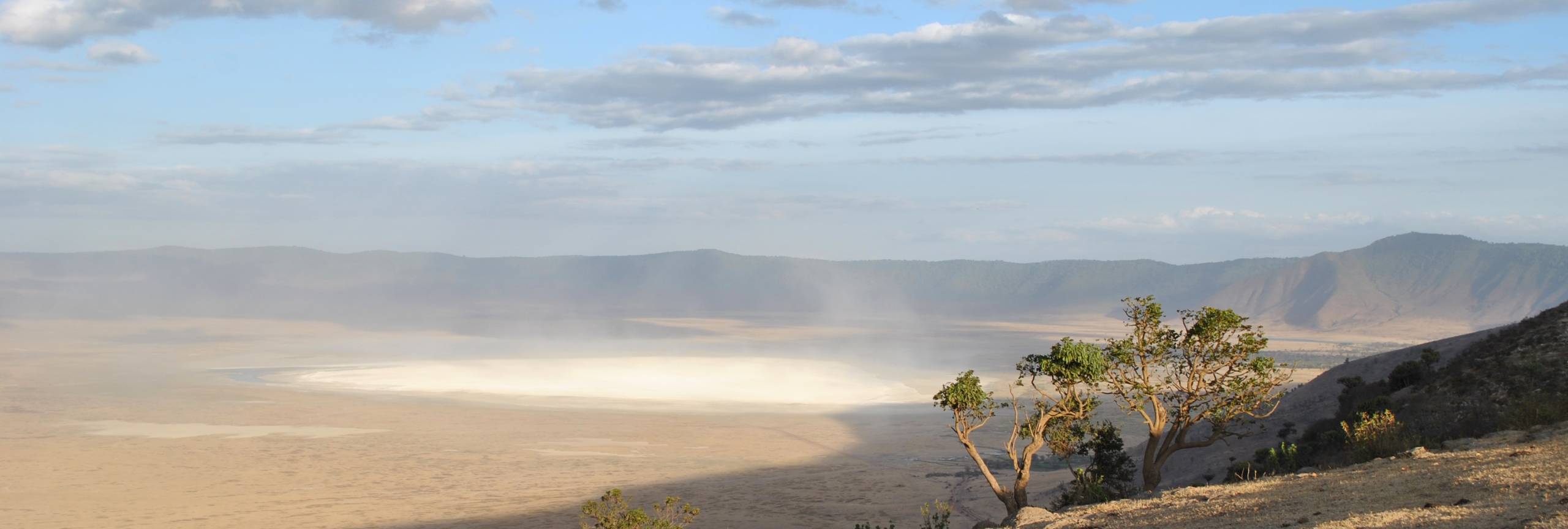 12 Most Amazing Ngorongoro Crater Animals to Spot - TourRadar