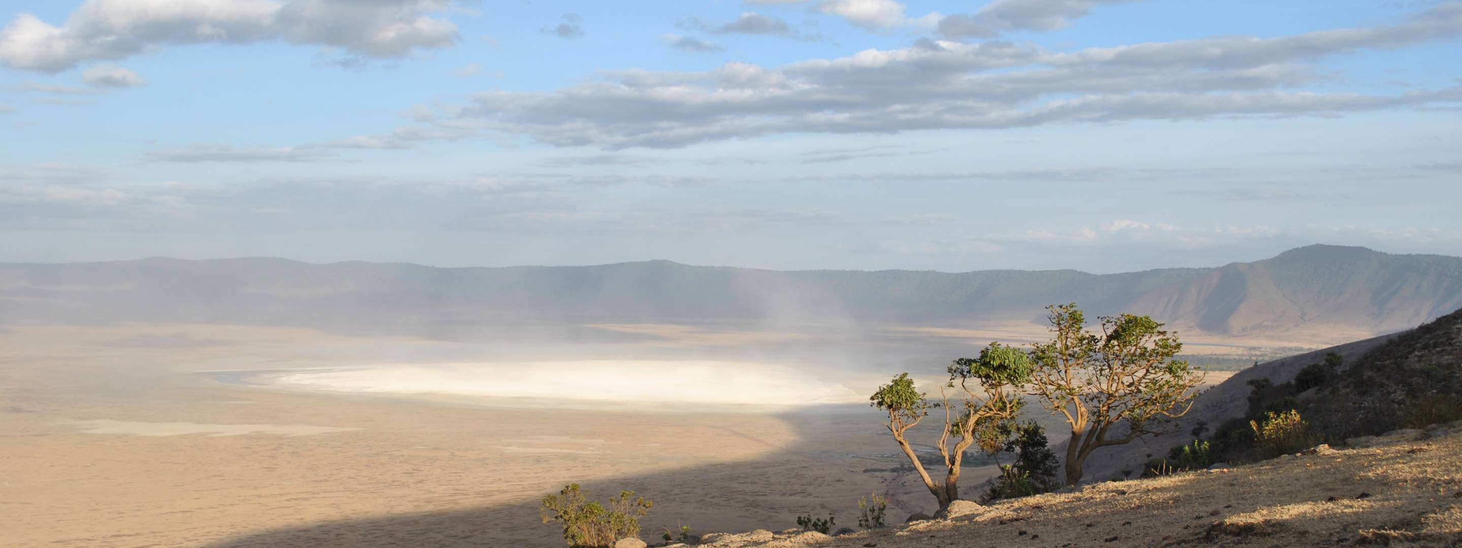 12 Most Amazing Ngorongoro Crater Animals to Spot - TourRadar