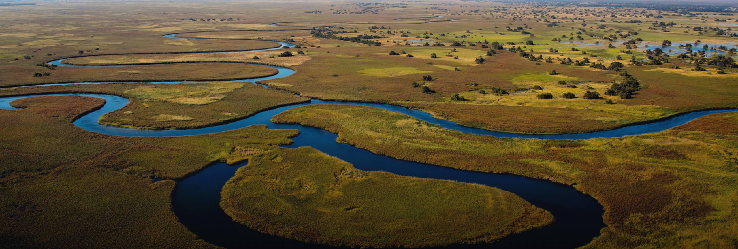 All You Need to Know About Okavango Delta: Facts & Information - TourRadar