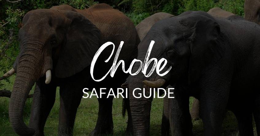 Chobe National Park Maps - TourRadar