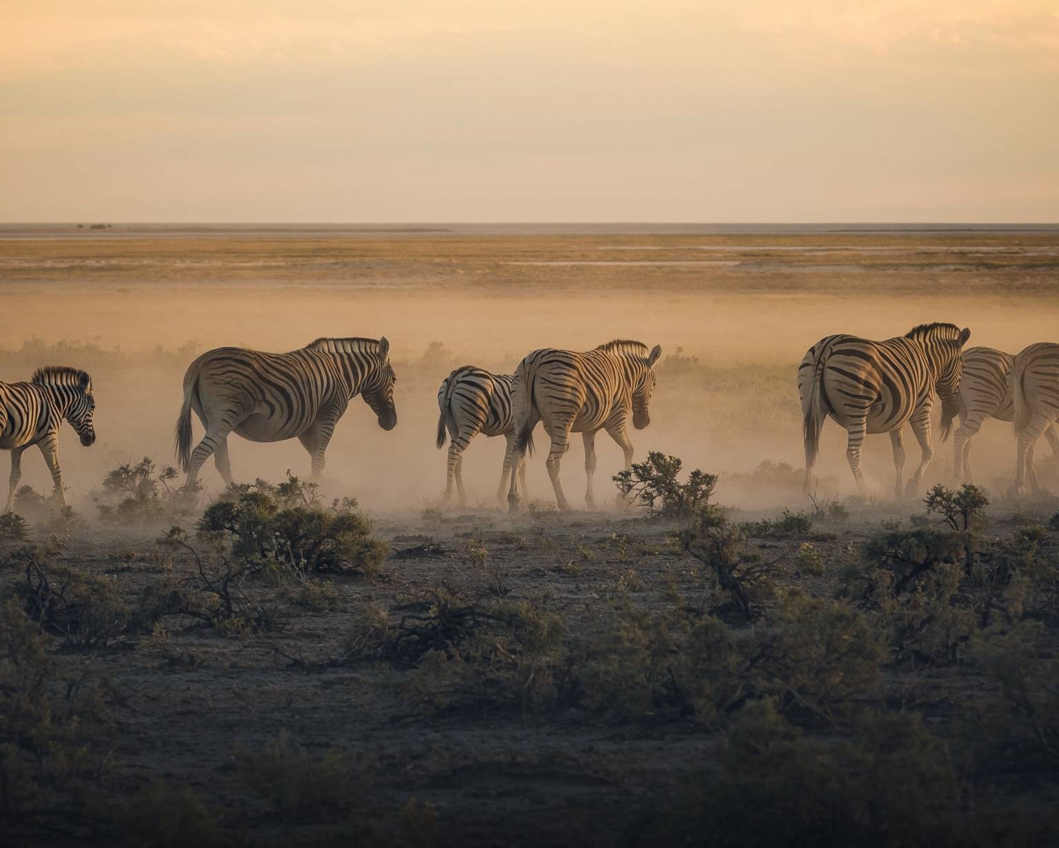 Etosha Maps: Location, Waterholes & Road Map - TourRadar