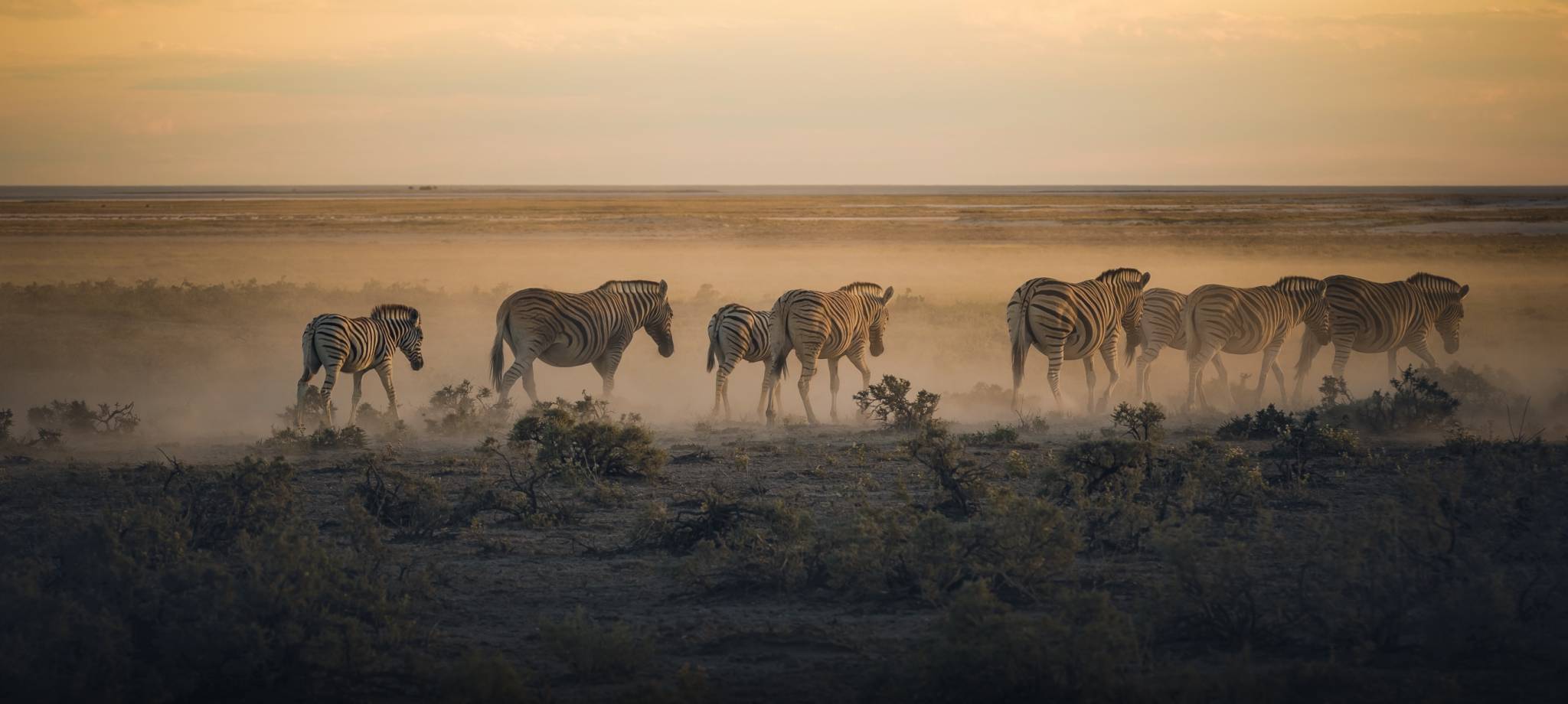 Etosha Maps: Location, Waterholes & Road Map - TourRadar