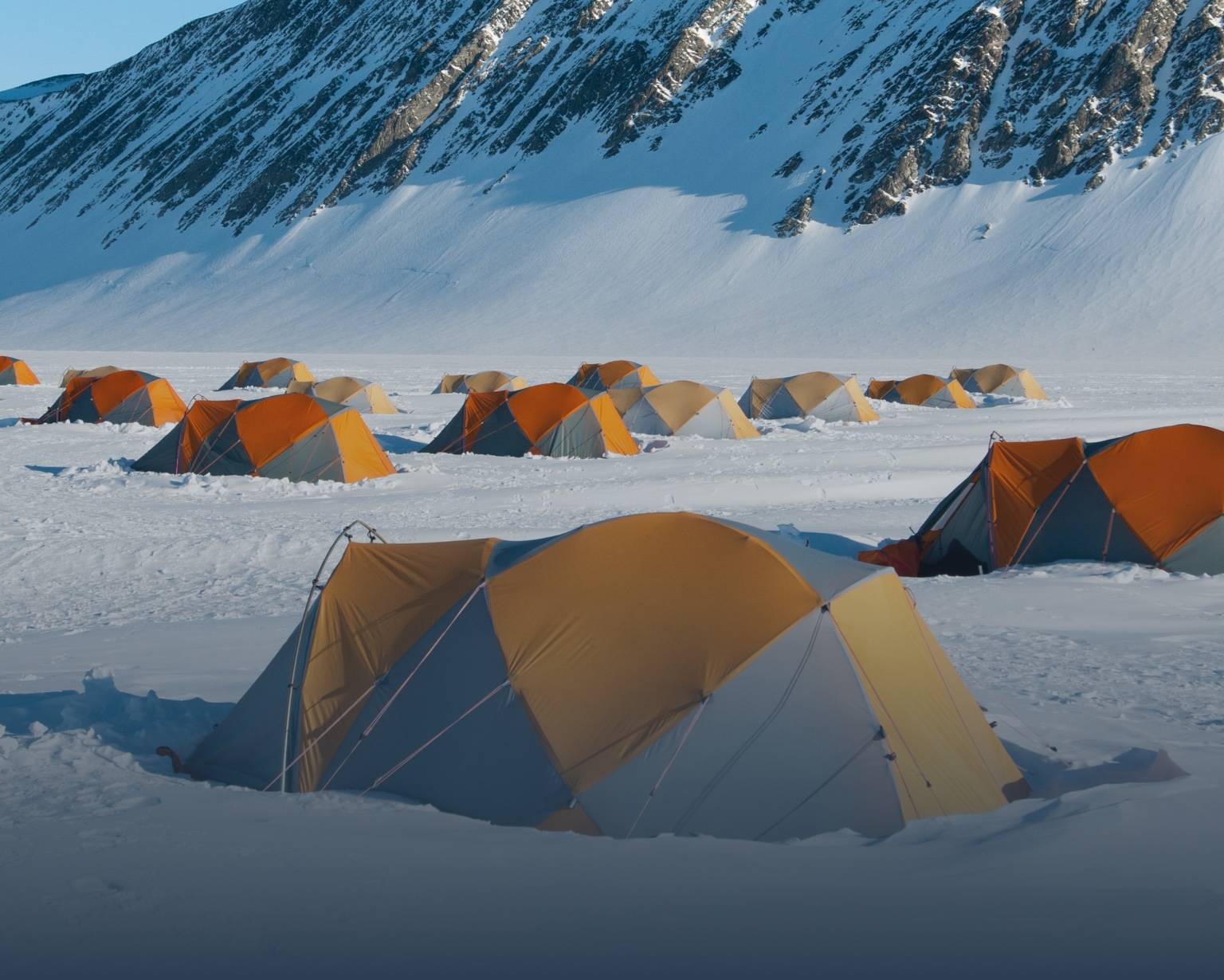 Camping in Antarctica: Everything You Need to Know - TourRadar