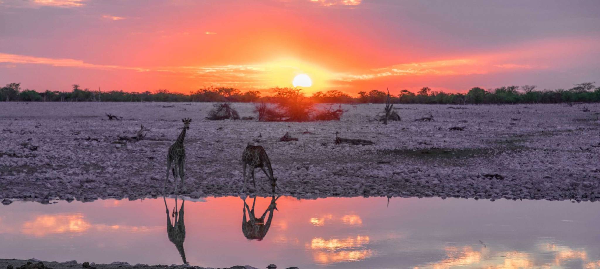 Best time to visit Namibia in 2025/2026 - TourRadar