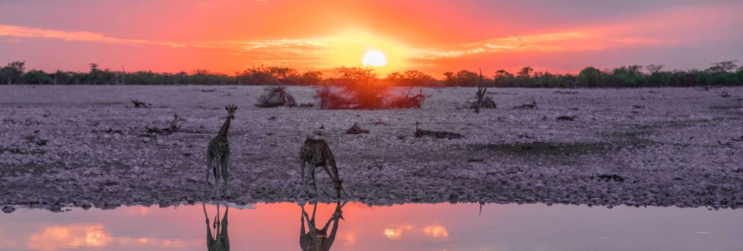 Best time to visit Namibia in 2026 - TourRadar
