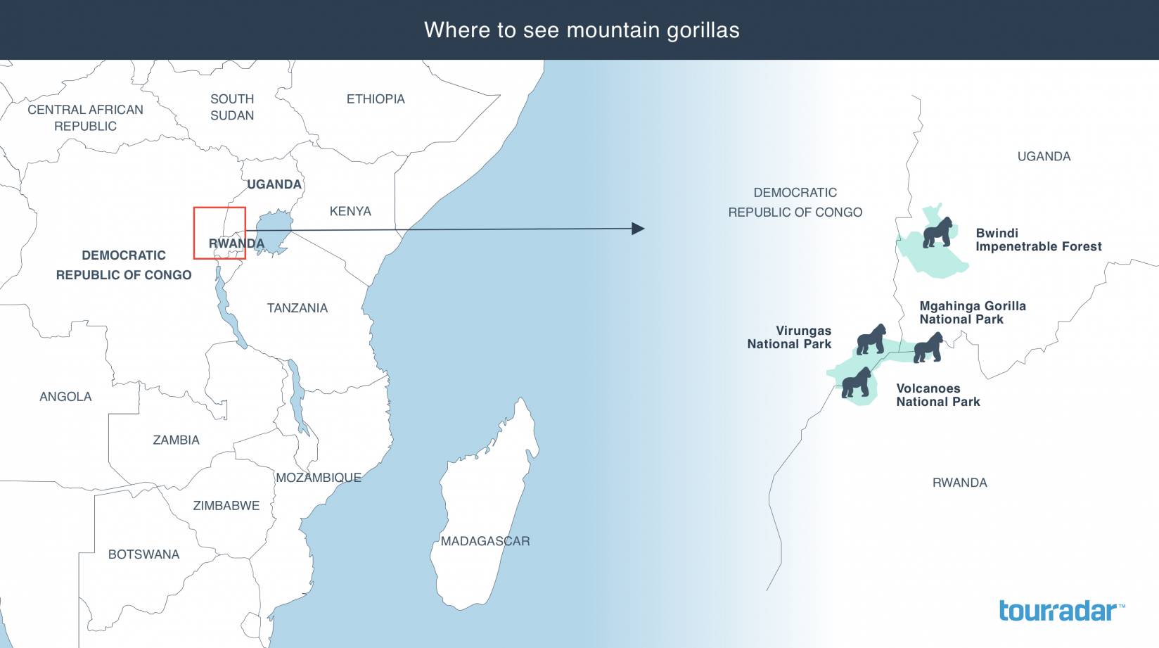 Where To See Gorillas in the Wild (With Africa Map) - TourRadar