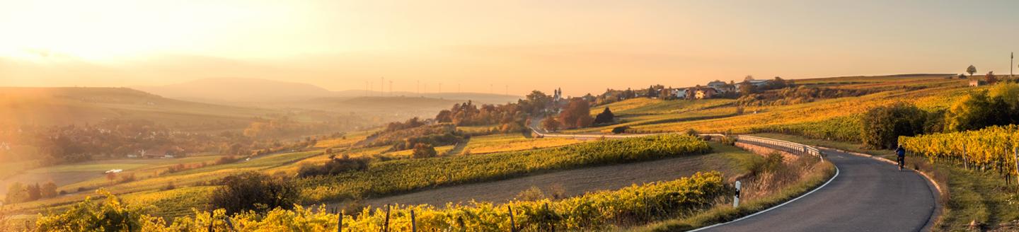 Germany Travel Guide | All You Need to Know - TourRadar