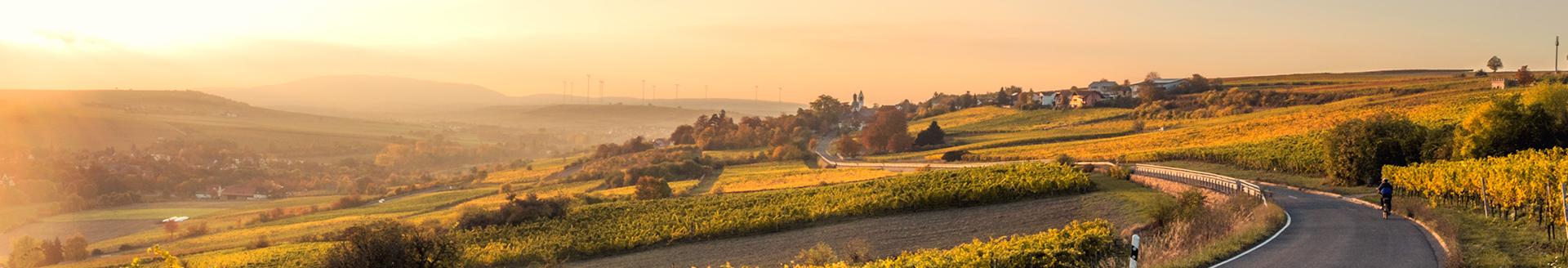 Germany Travel Guide | All You Need to Know - TourRadar