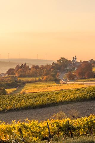 Germany Travel Guide | All You Need to Know - TourRadar