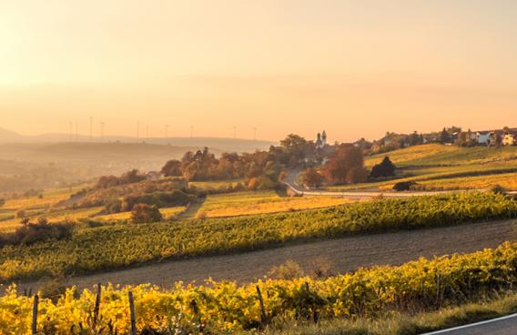 Germany Travel Guide | All You Need to Know - TourRadar