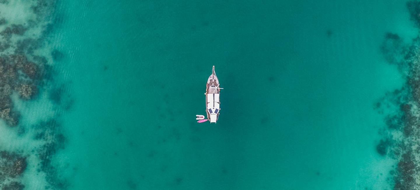 10 Amazing Ocean Cruise Tours & Trips 2026 - TourRadar