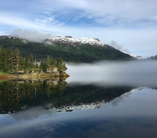 10 Amazing Ocean Cruise Tours & Trips 2021 - TourRadar