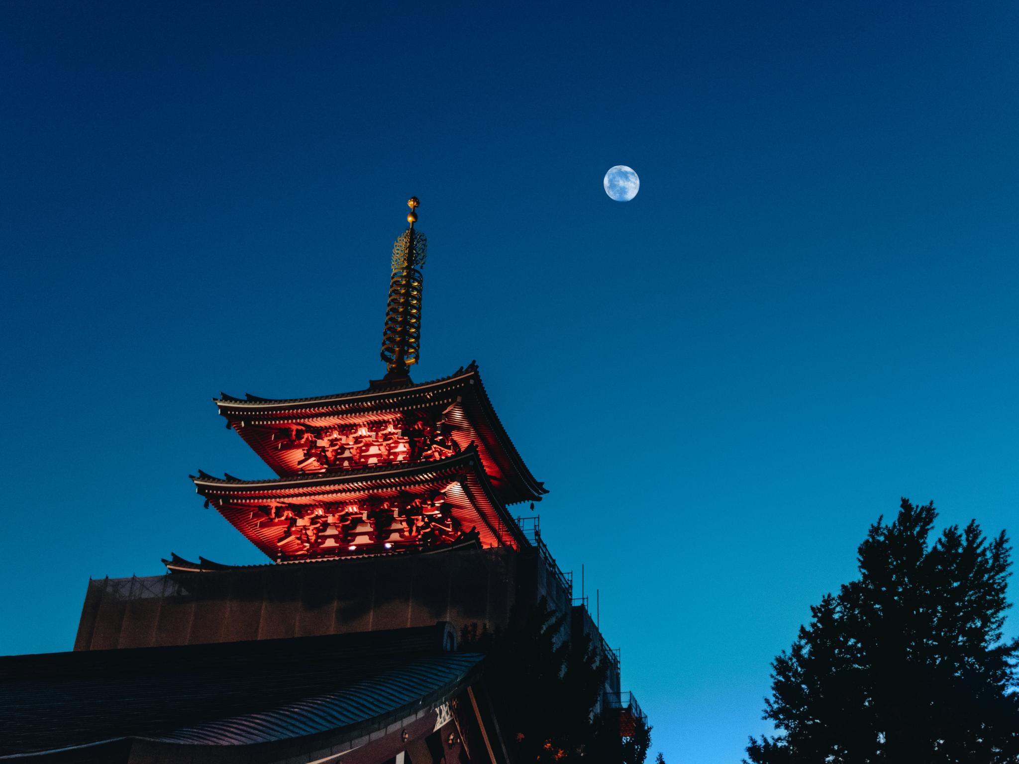 Japan Travel Guide | All You Need to Know - TourRadar