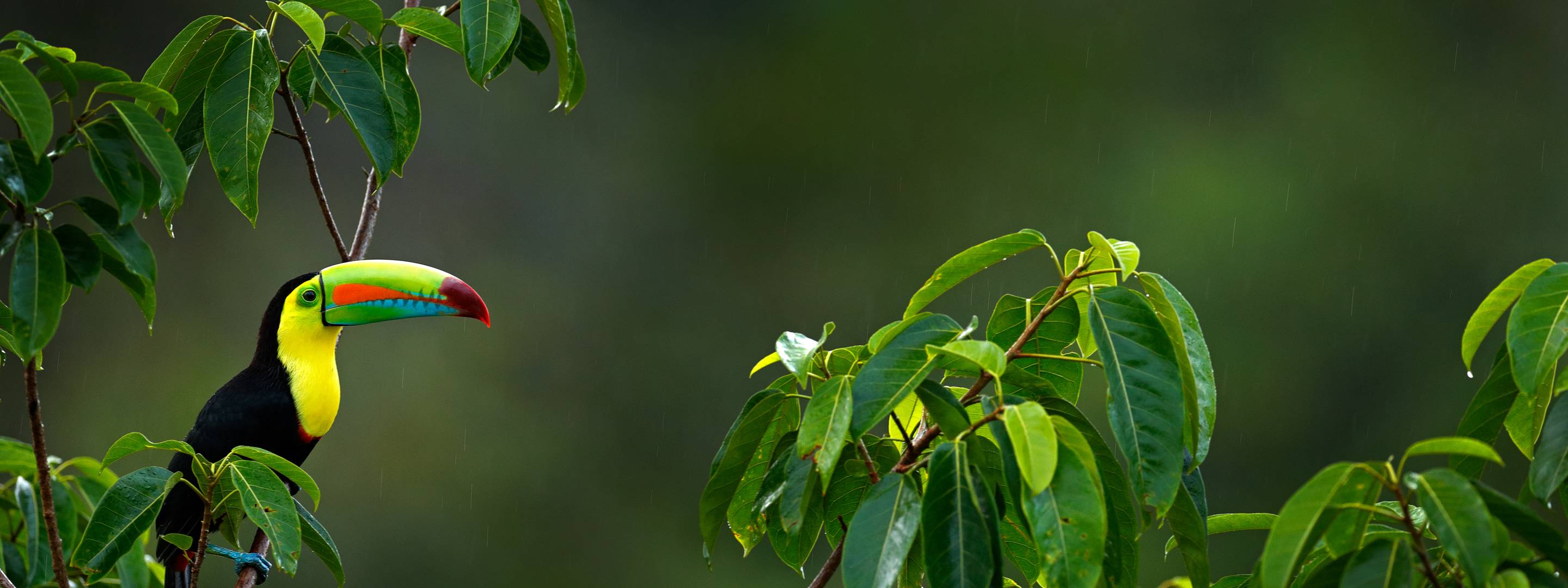 10 Amazing Nature & Wildlife Tours & Trips 2026/2027 - TourRadar
