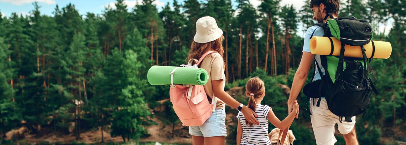 Best Family Tours & Adventures 2026 - TourRadar