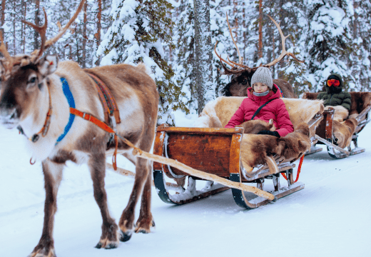 Best Family Tours & Adventures 2026 - TourRadar