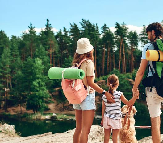 Best Family Tours & Adventures 2026 - TourRadar