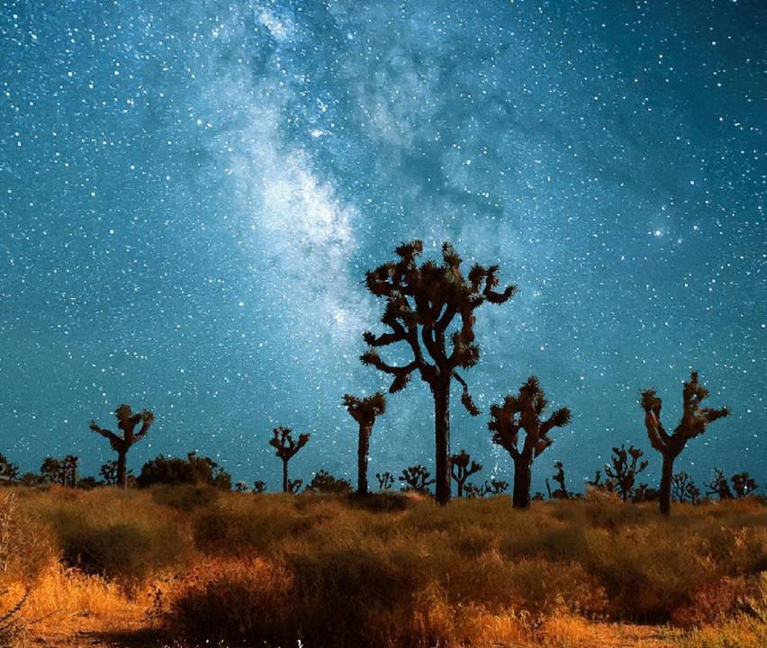 10 Best Stargazing Tours & Trips 2026 - TourRadar