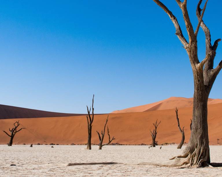 10 Best Namibia Tours & Vacation Packages 2021/2022 - TourRadar