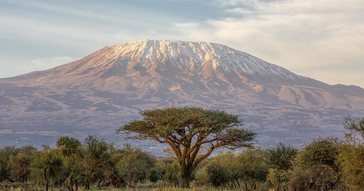 The Shira Route & Shira Plateau: Climbing Kilimanjaro - TourRadar