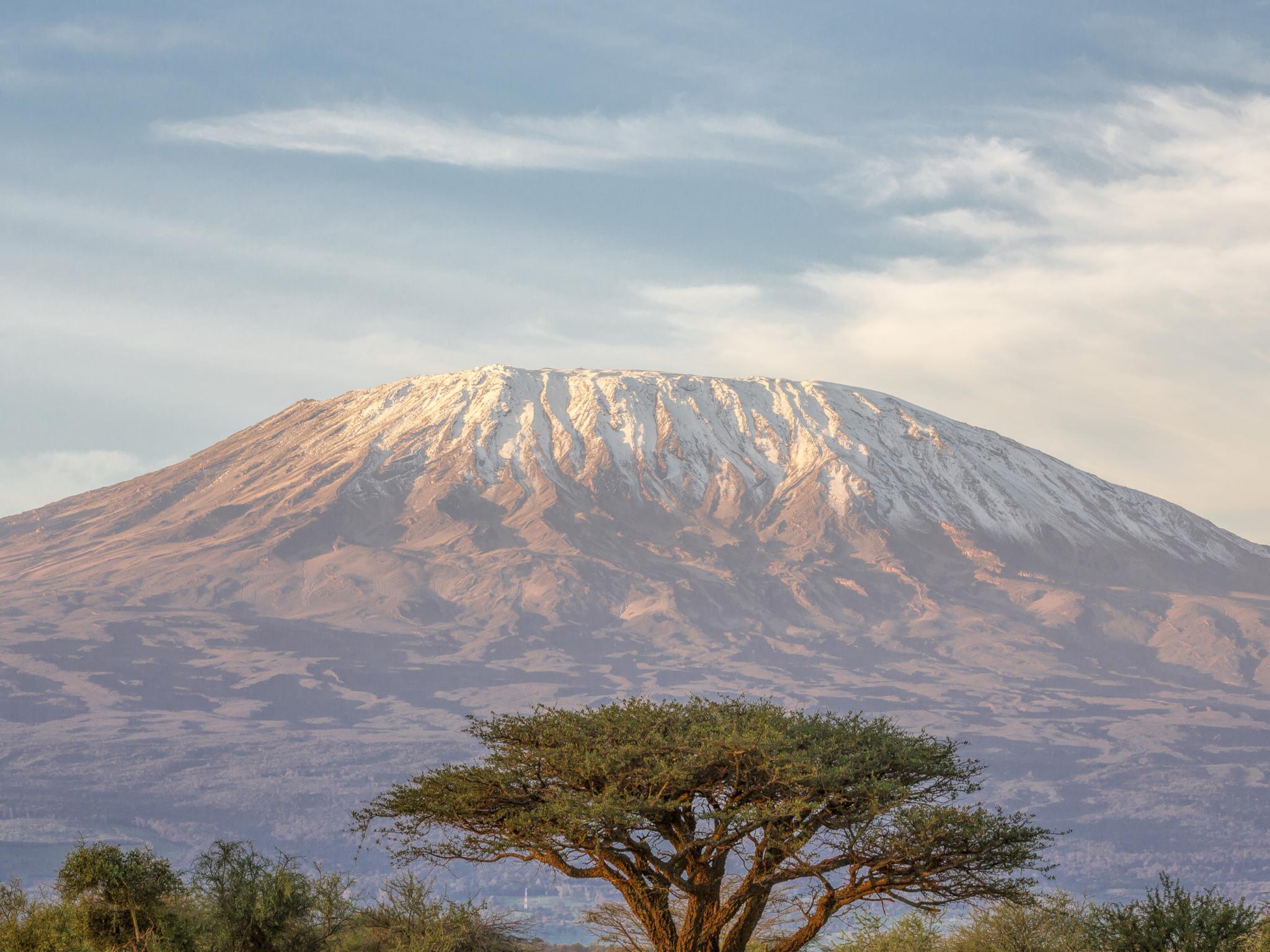 The Shira Route & Shira Plateau: Climbing Kilimanjaro - TourRadar