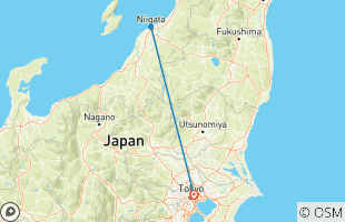 10 Best Northern Japan Tours & Trips 2025/2026 - TourRadar
