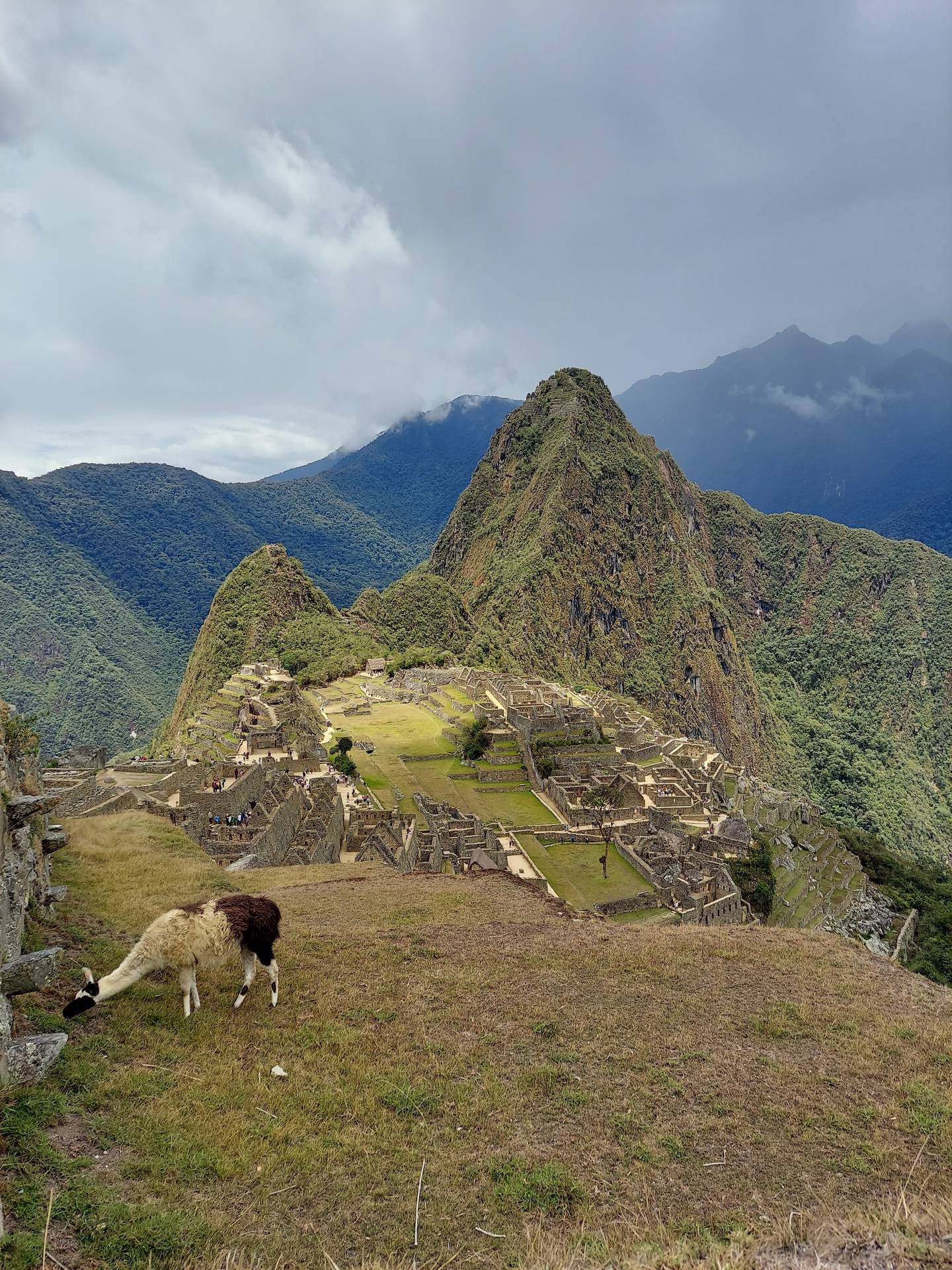 Inca Treasures by LimaTours with 22 Tour Reviews (Code: 22774) - TourRadar
