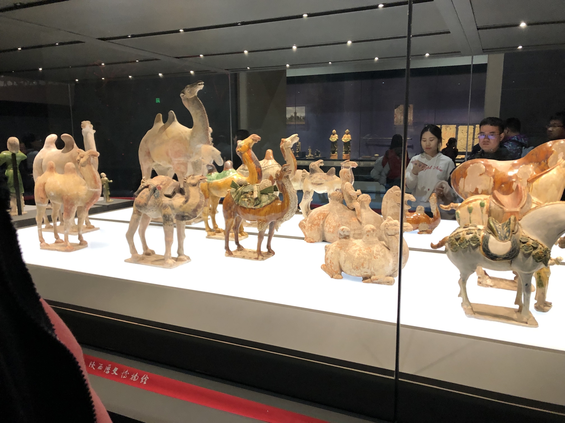 11-Day China Panda Tour: Luxury Small Group & High-quality Hotels, All ...