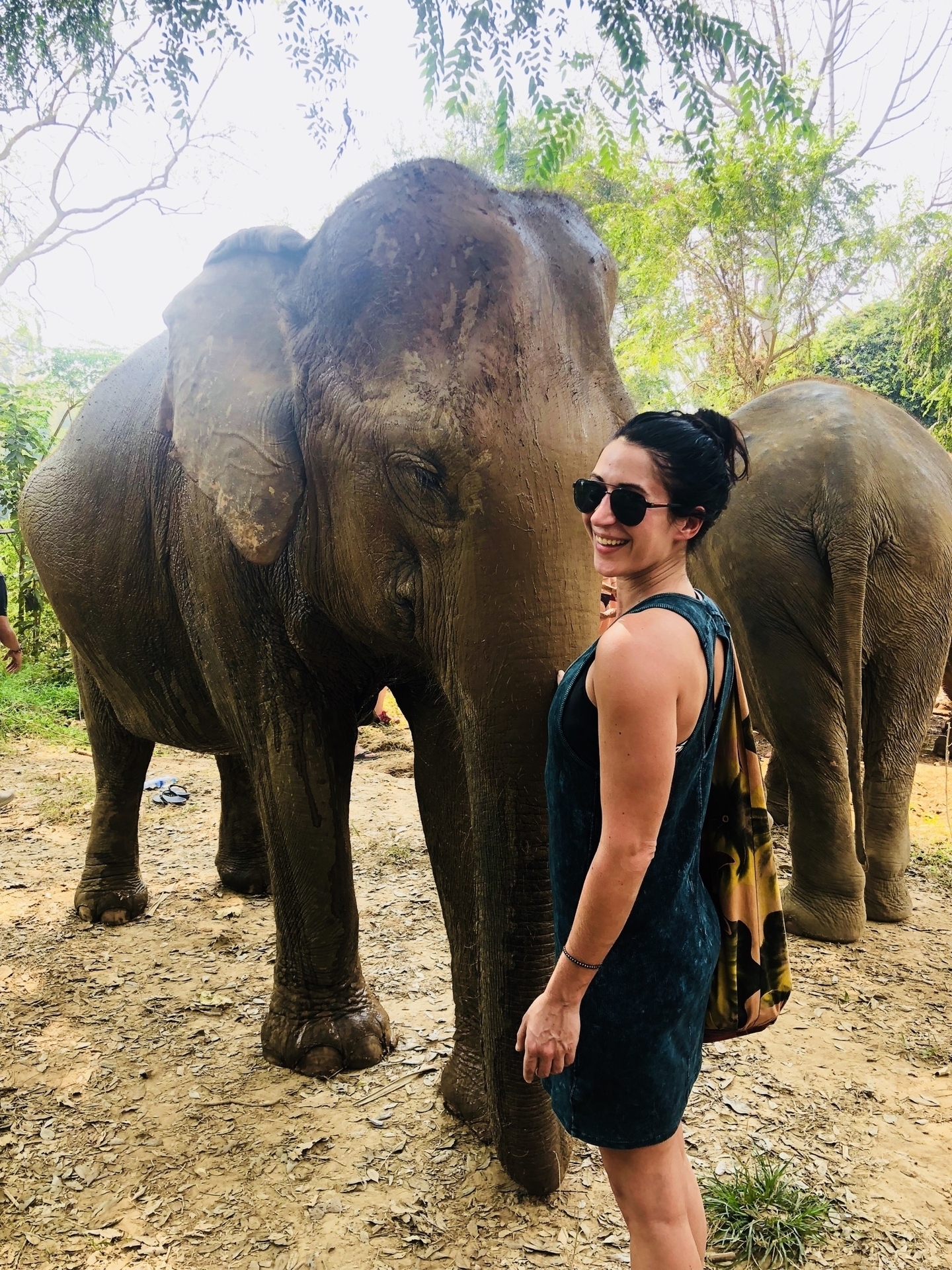 Ultimate South East Asia by Contiki with 80 Tour Reviews - TourRadar