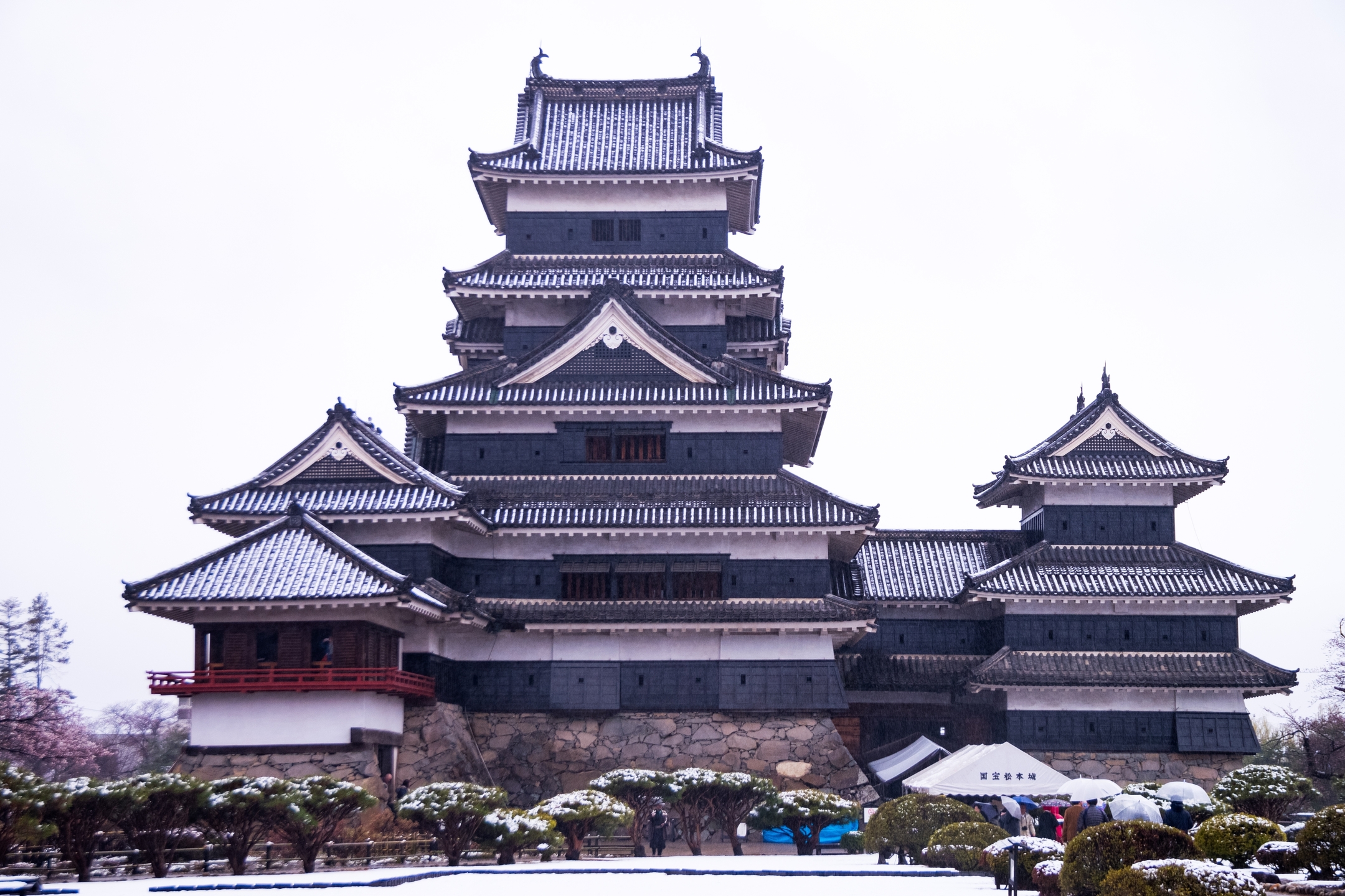 Japan Unrivalled by Contiki with 64 Tour Reviews - TourRadar