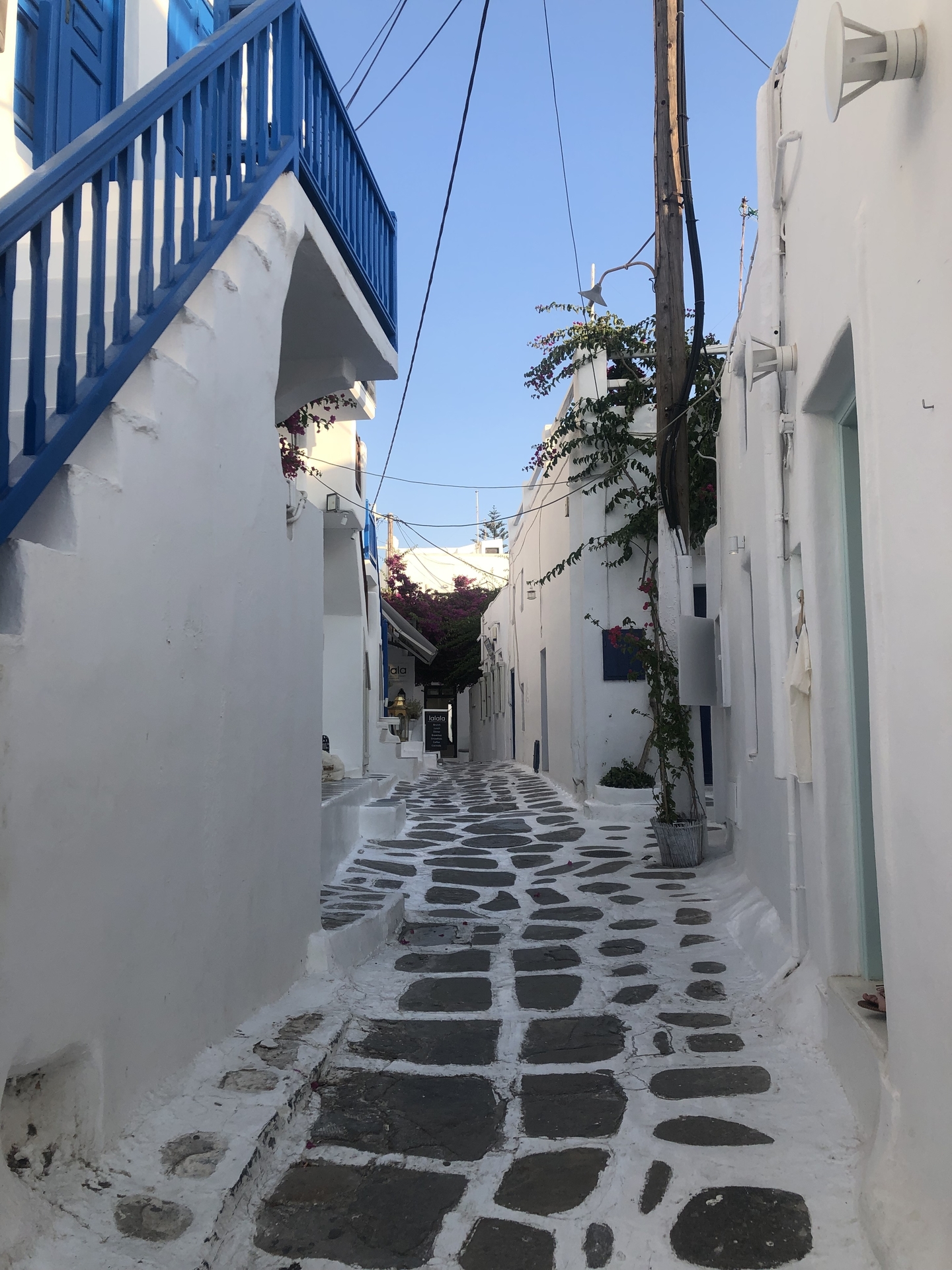 Greek Island Hopping (Standard) by Contiki with 812 Tour Reviews ...