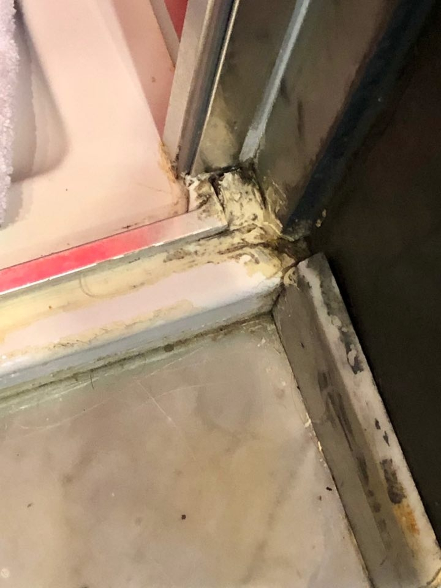 Italy's Best by Cosmos with 246 Tour Reviews (Code: 6390|14) - TourRadar